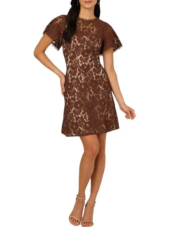 Adrianna Papell Flutter Sleeve Lace Dress - Espresso