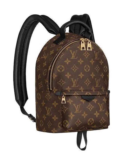 LOUIS VUITTON Palm Springs Monogram Pm Backpack - Brown