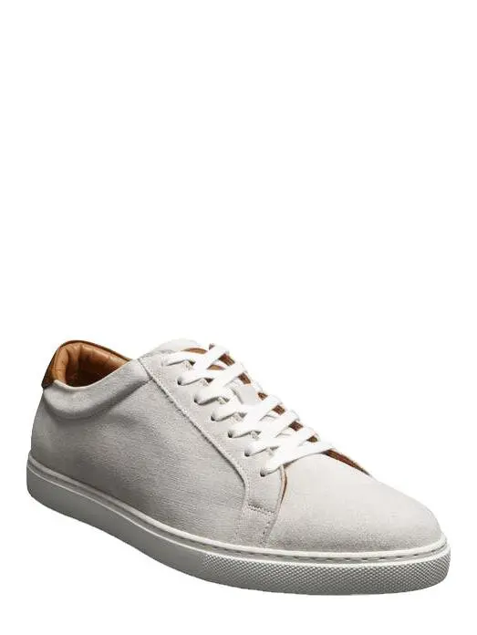 Allen Edmonds Courtside Sneaker - Light Grey Suede