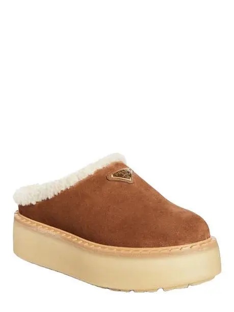 Prada Evolve Genuine Shearling Clog - Cacao