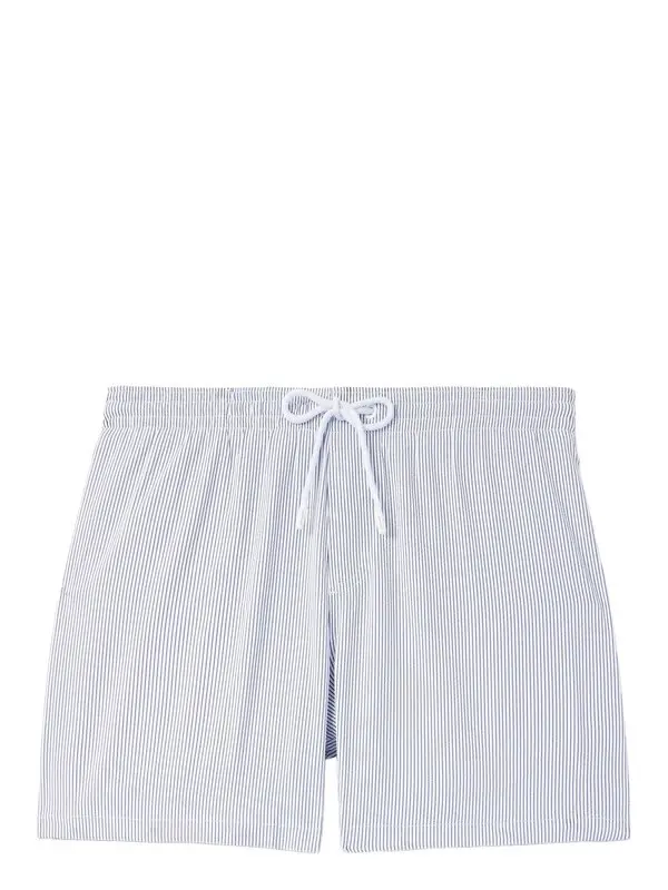 Loro Piana Daneu Striped Swim Shorts - Blue