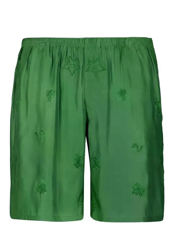 BAZISZT Embroidered Drawstring Shorts - Green
