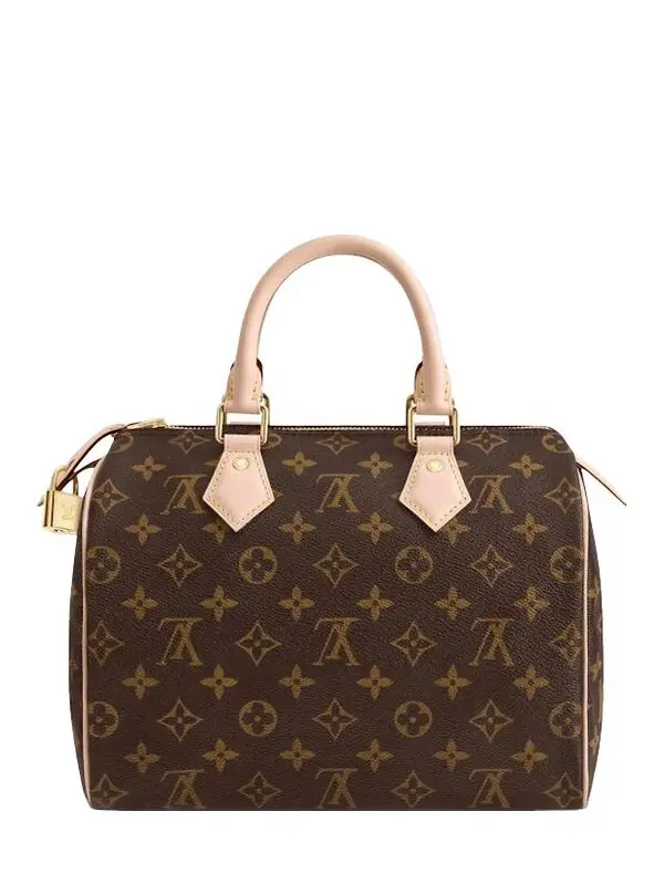 LOUIS VUITTON Speedy 25 - Multicolor