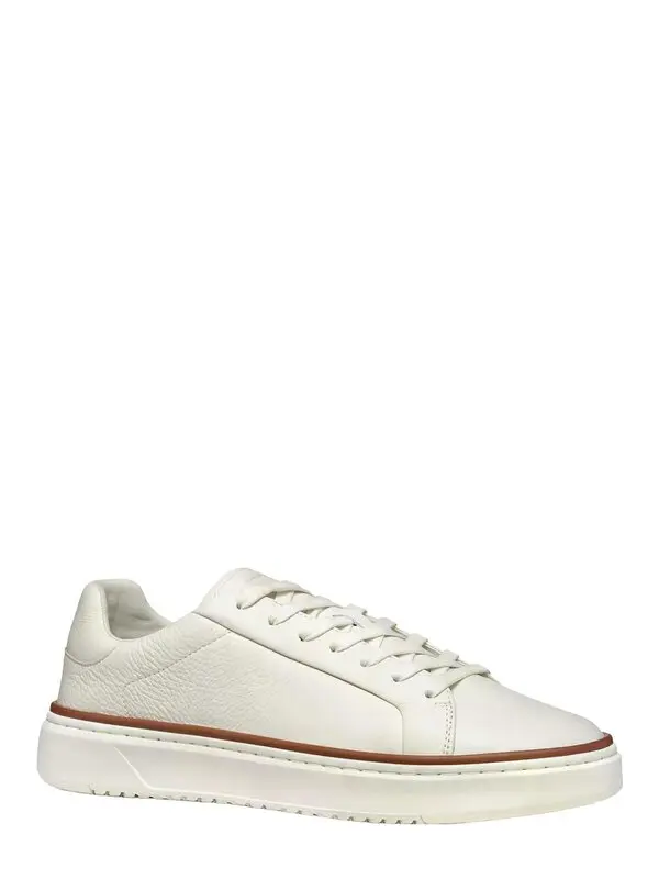 Geox Zackerty Sneakers - White