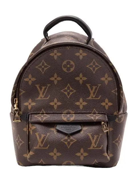 LOUIS VUITTON Palm Springs Monogram Mini Backpack - Multicolor