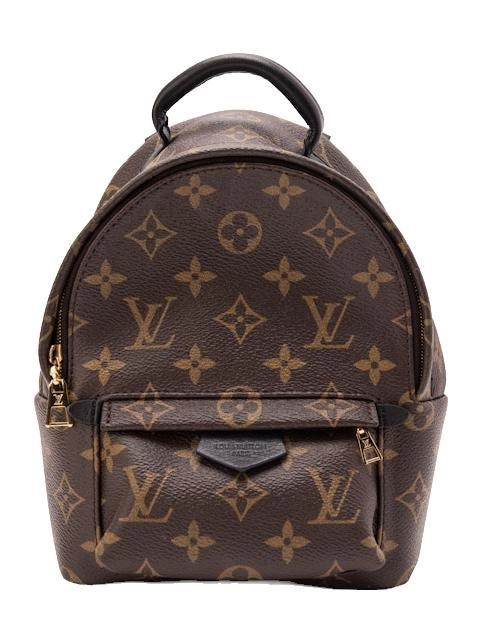 LOUIS VUITTON Palm Springs Monogram Mini Backpack - Multicolor