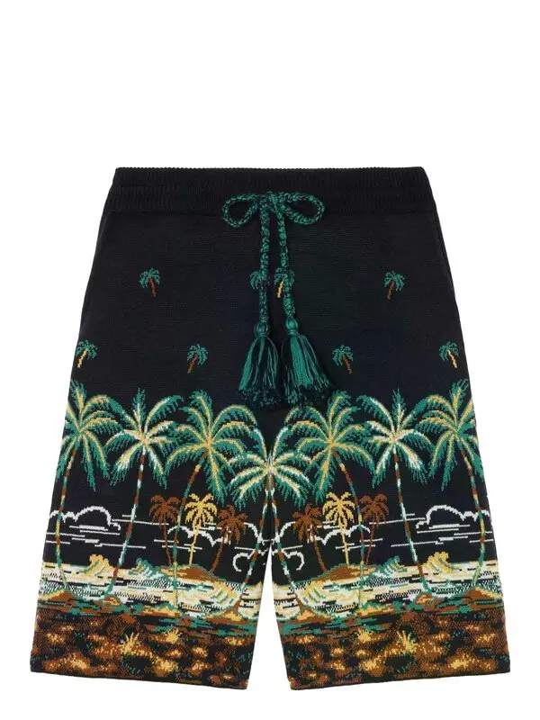 Alanui The Tale Of A Hawaiian Shorts - Blue