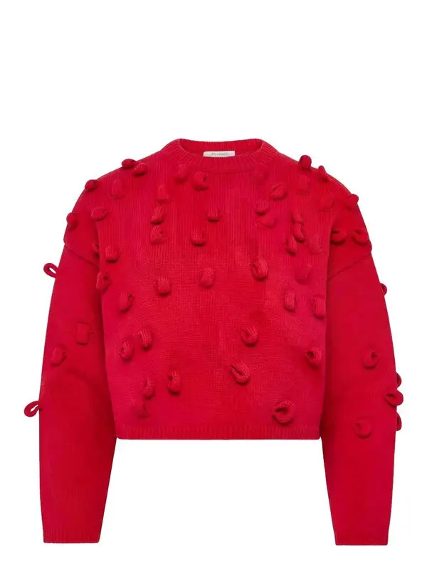 JW Anderson Cropped Jumper With Loop Embellishments - Red