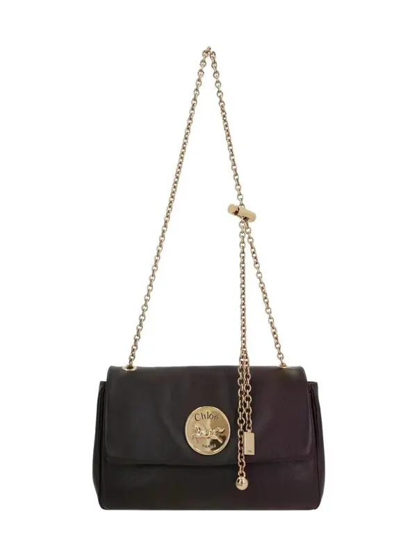 Chloé Heritage Chain-strap Shoulder Bag - Brown