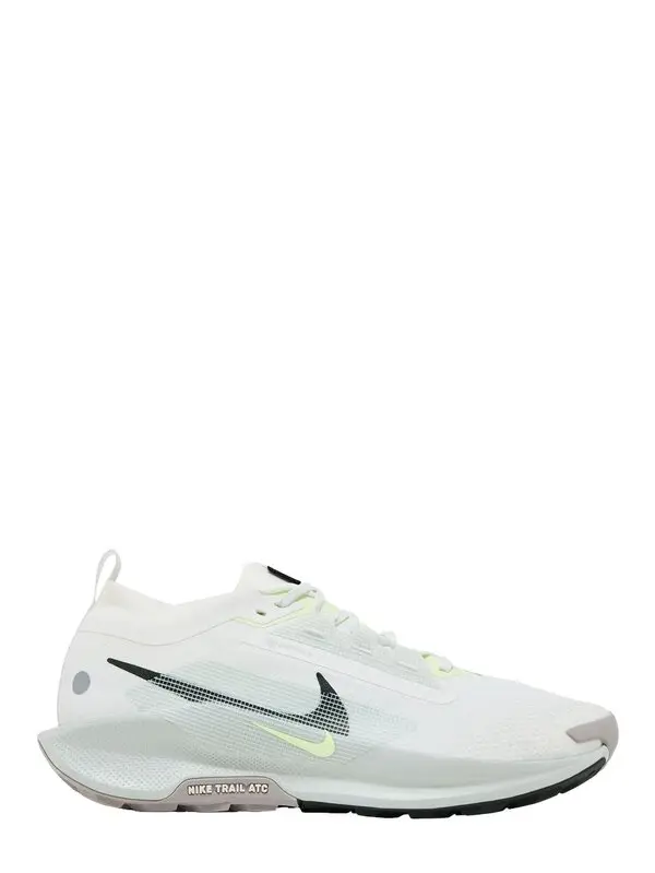 Nike Pegasus Trail 5 Gore-tex Sneakers - Grey