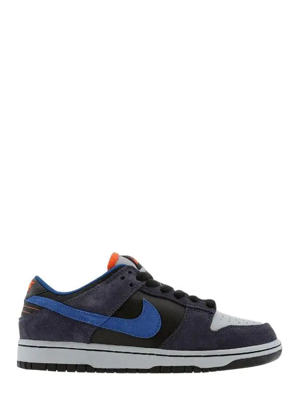 Nike Dunk Low Pro Sb 'patagonia - Black
