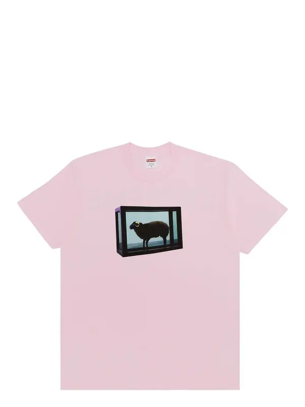 Supreme X Damien Hirst Tee - Pink