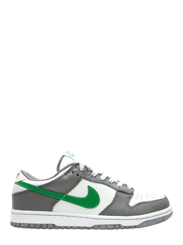 Nike Dunk Low Pro Sneakers - Grey