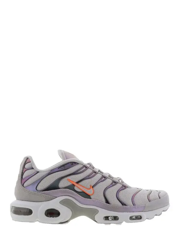 Nike Air Max Plus Sneakers - Grey