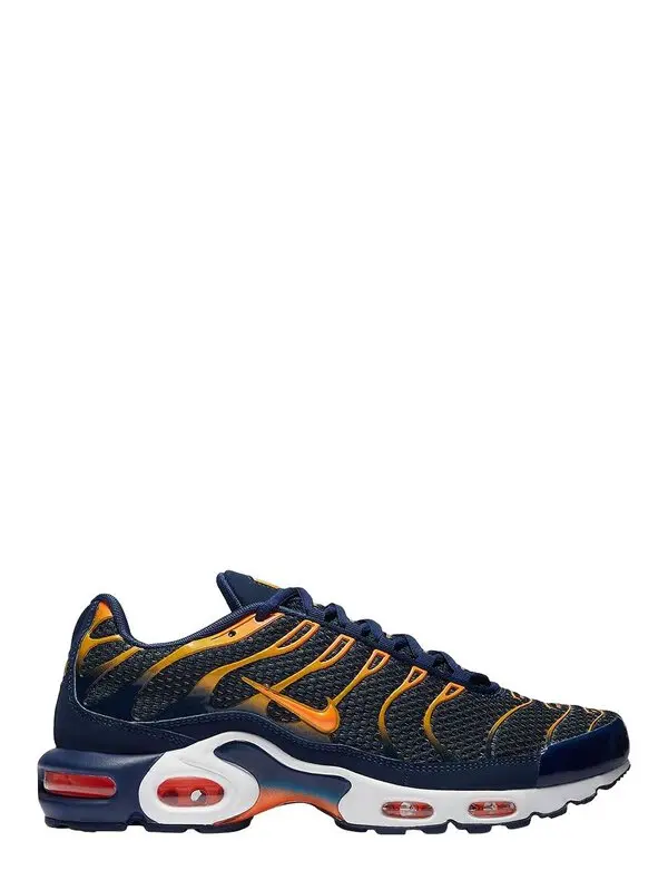 Nike Air Max Plus Sneakers - Blue