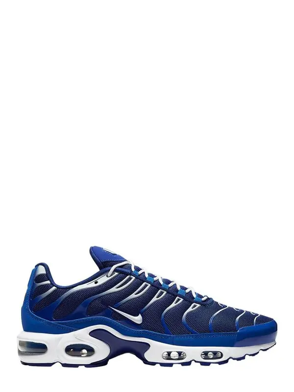 Nike Air Max Plus 'arctic Chill - Blue
