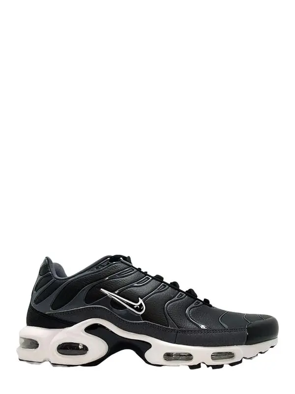 Nike Air Max Plus Sneakers - Black
