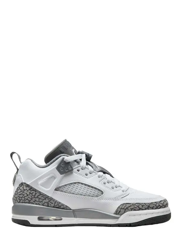 JORDAN Spizike Low Sneakers - Grey