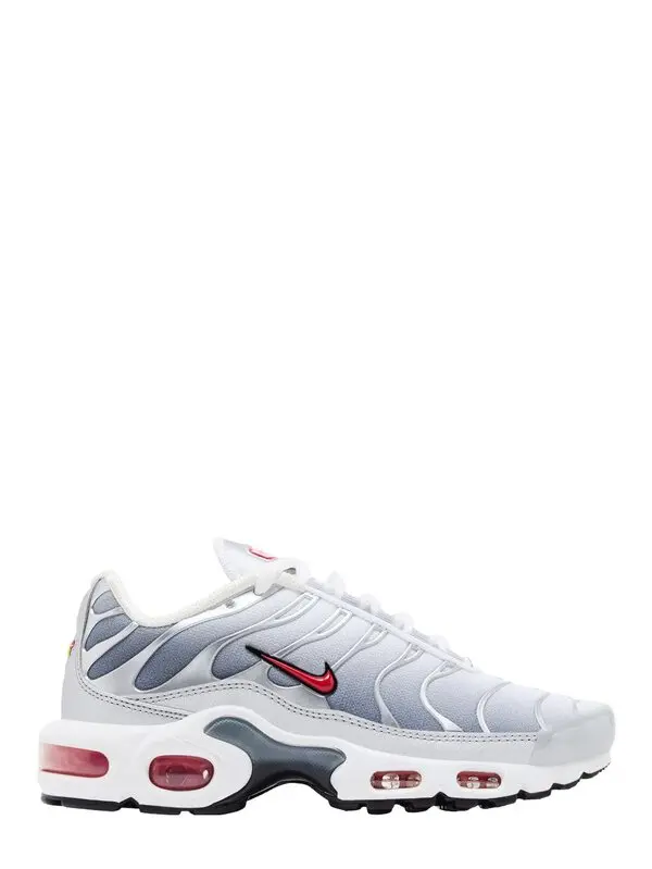 Nike Air Max Plus - Silver