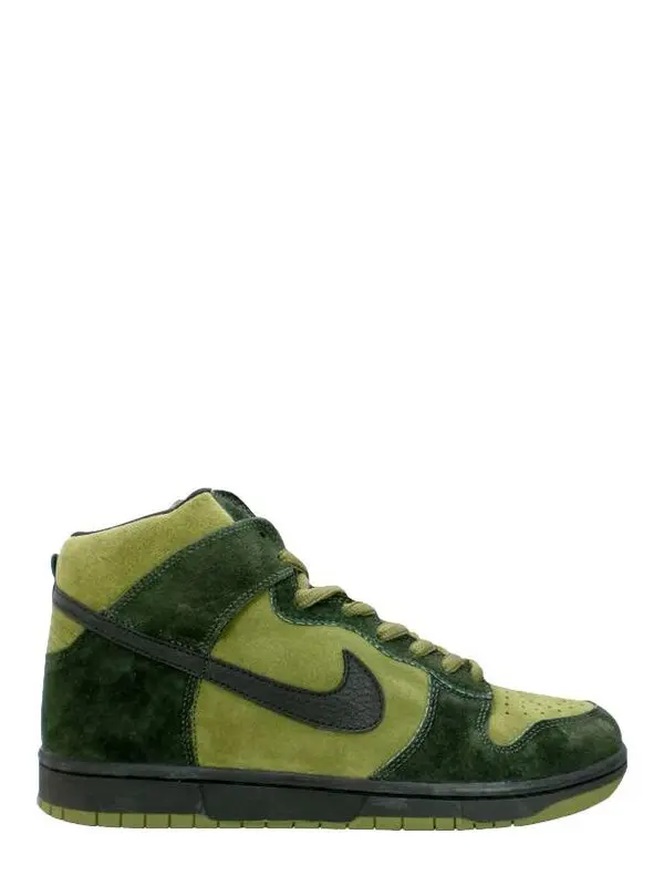 Nike Dunk High Pro Sb Sneakers - Green
