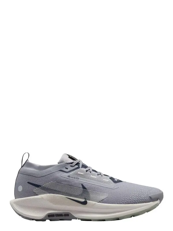 Nike Pegasus Trail 5 Gore-tex - Grey