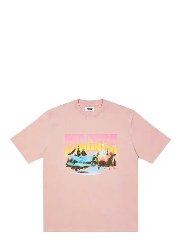 PALACE Palaska Dye T-shirt - Pink