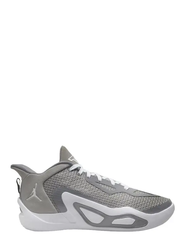JORDAN Tatum 1 Gs Sneakers - Grey