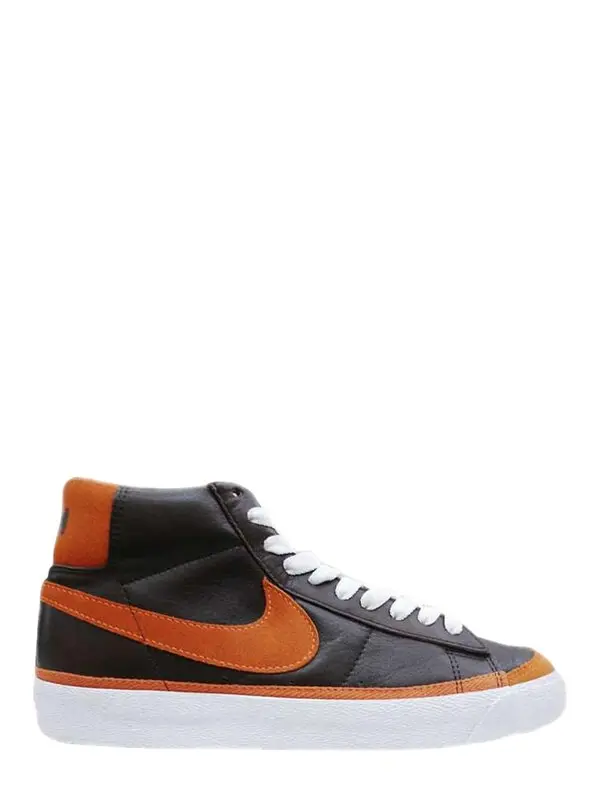 Nike Blazer Sb Sneakers - Brown