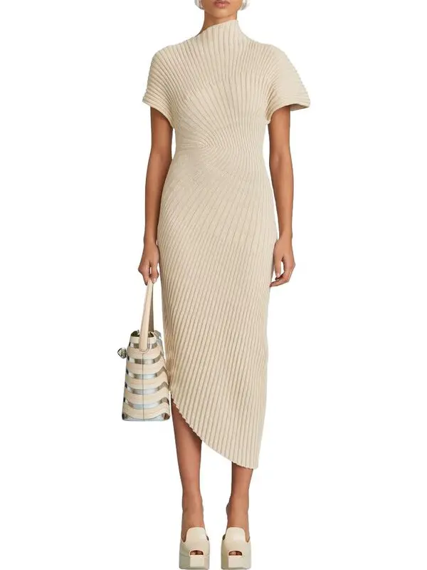 Cult Gaia Chrysta Turtleneck Rib Midi Sweater Dress - Beach