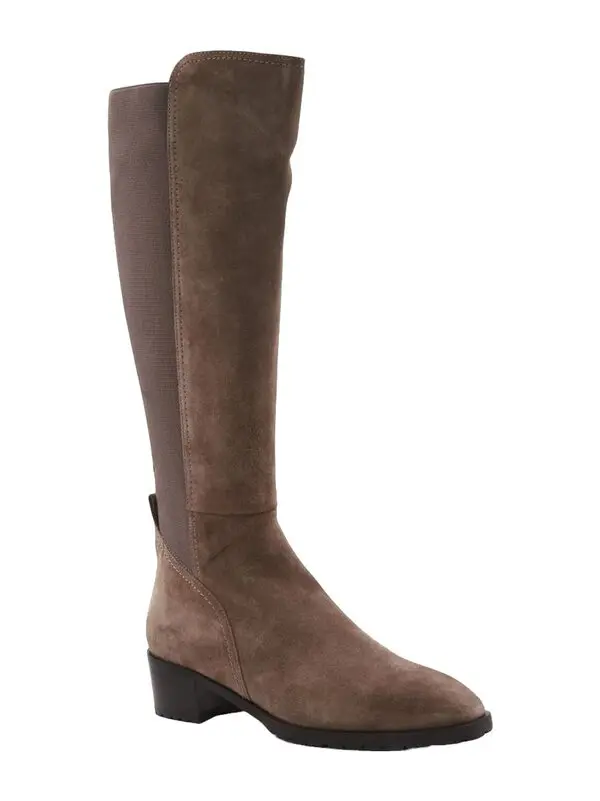 Aquatalia Rhegan Weatherproof Knee High Boot - Taupe Suede