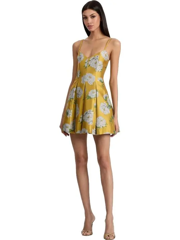 Alice + Olivia Isabelle Jacquard Mini Dress - Floral
