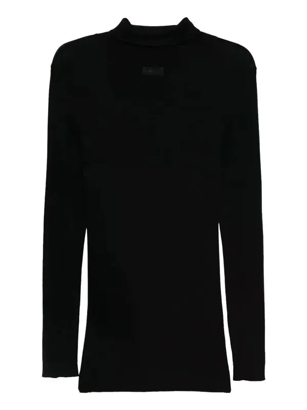 AEXAE Sheer Turtleneck Top - Black