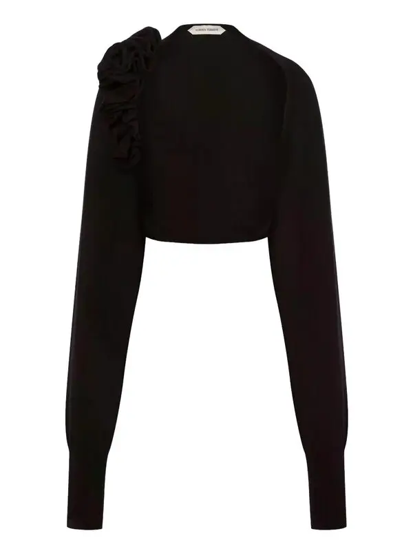 Alberta Ferretti Appliqué-detail Sweater - Black