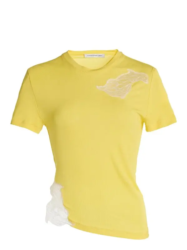 Christopher Esber Delphin Lace-trimmed Jersey T-shirt - Multi