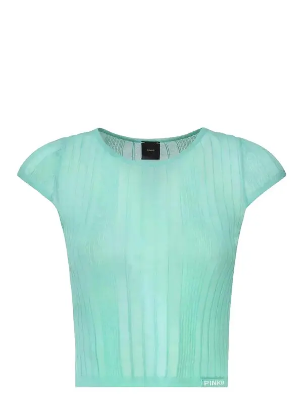 Pinko Ribbed Knit Top - Blue