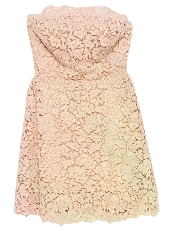 Ermanno Scervino Floral-lace Strapless Dress - Pink