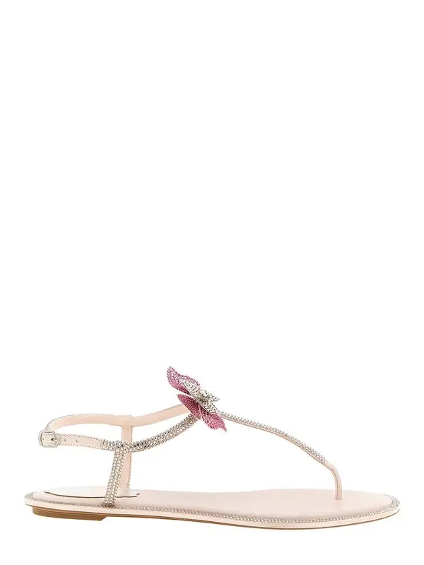 Rene Caovilla Fairy Thong Sandals - Pink