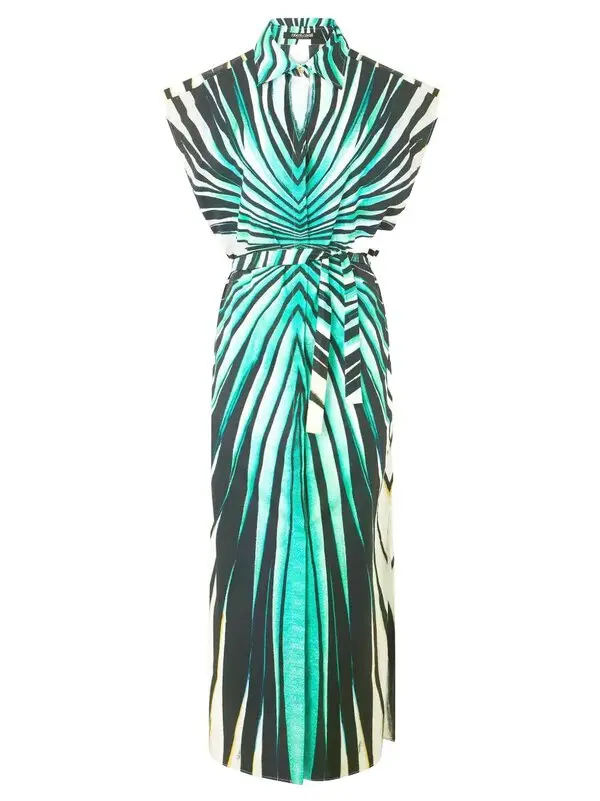 Roberto Cavalli Printed Midi Dress - Blue