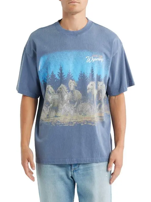 ID SUPPLY CO Wild Lands Graphic T-shirt - Washed Navy