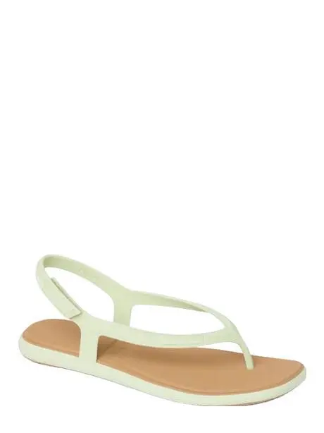 Reef Water Willow Maya Slingback Sandal - Aloe Wash