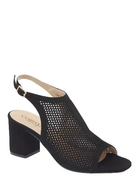 Cordani Illia Ankle Strap Sandal - Black Suede