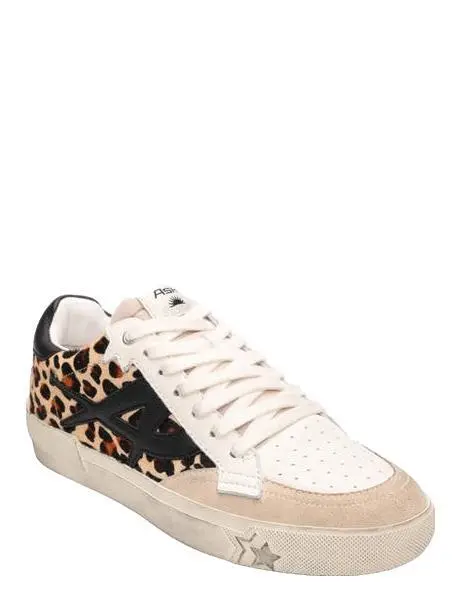 Ash Moonlight Low-top Sneakers - Eggnog/leopard
