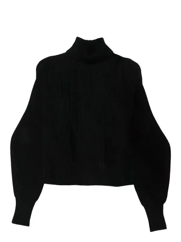 P.a.r.o.s.h High-neck Ribbed Jumper - Black
