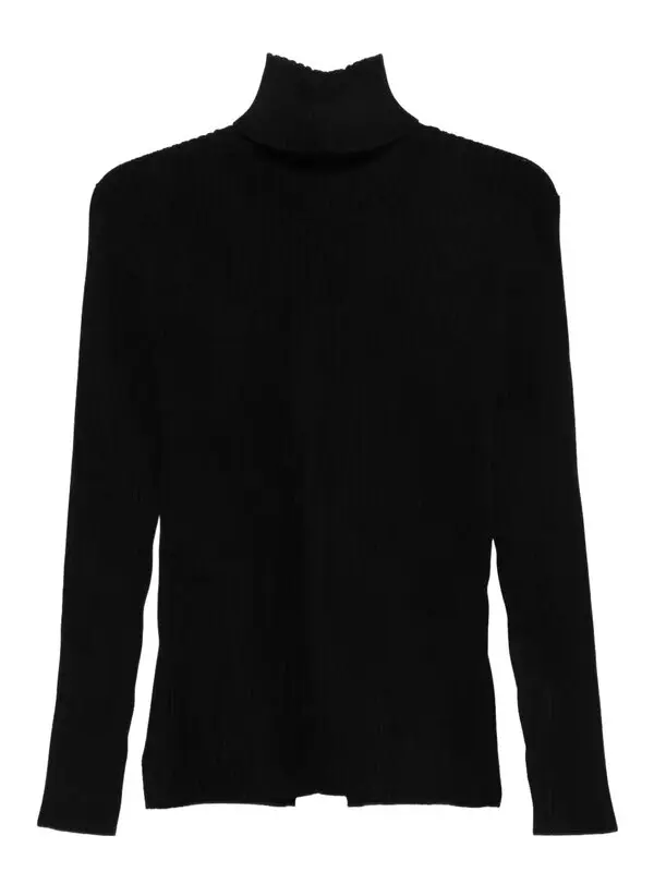 P.a.r.o.s.h Ribbed High-neck Sweater - Black
