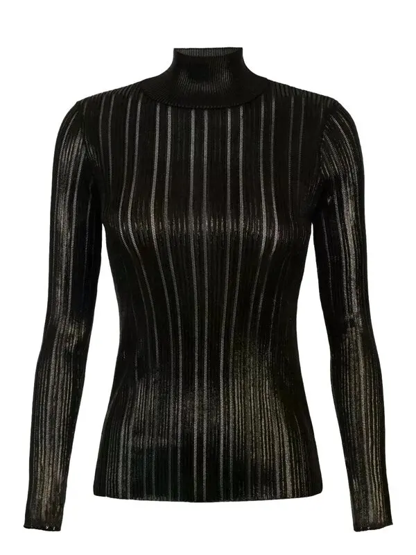 Elisabetta Franchi Striped Roll-neck Jumper - Black