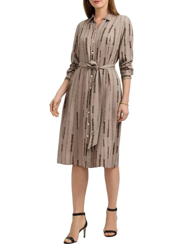 Foxcroft Fiona Chain Stripe Belted Shirtdress - Brown Multi
