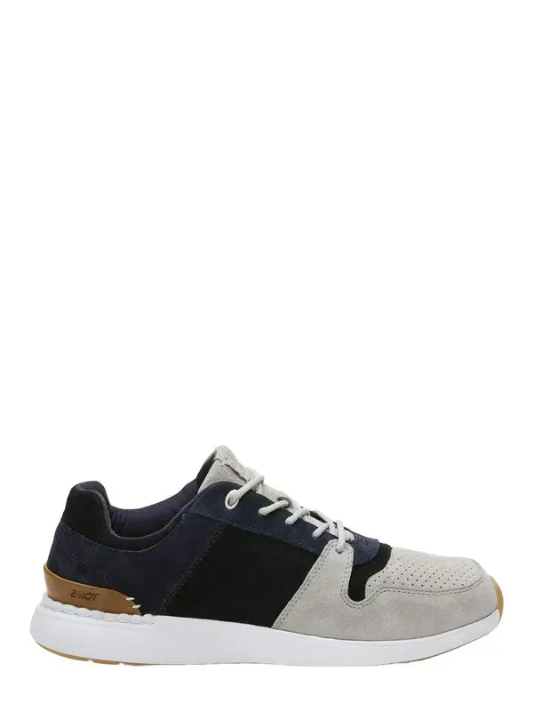 Toms Arroyo Sneakers - Blue