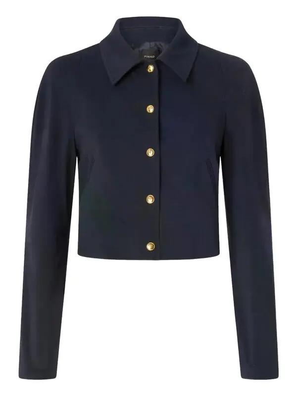 Pinko Button-fastening Cropped Jacket - Blue