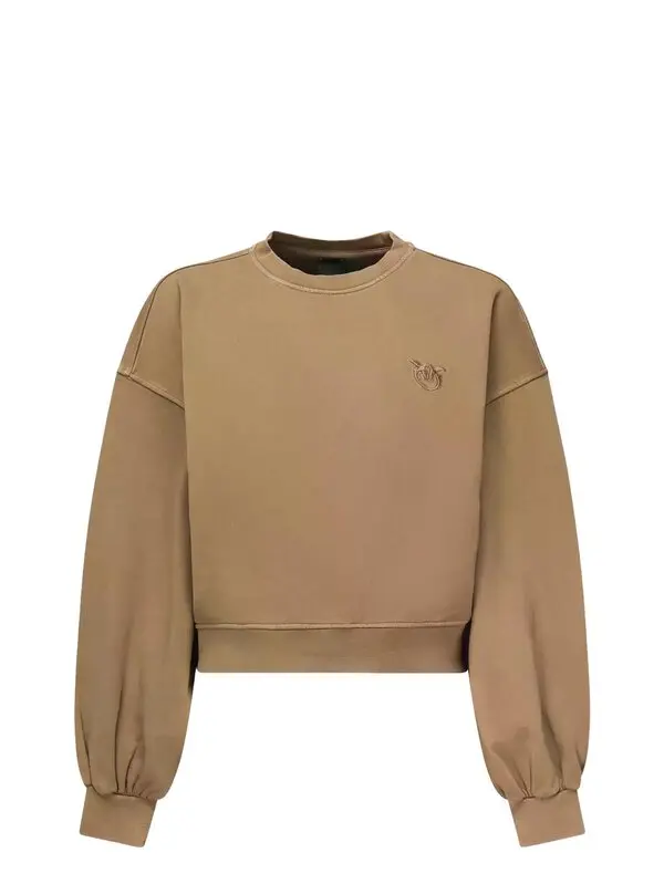 Pinko Embroidered Balloon-sleeve Sweatshirt - Brown