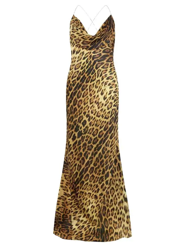 Roberto Cavalli Leopard-print Maxi Dress - Brown